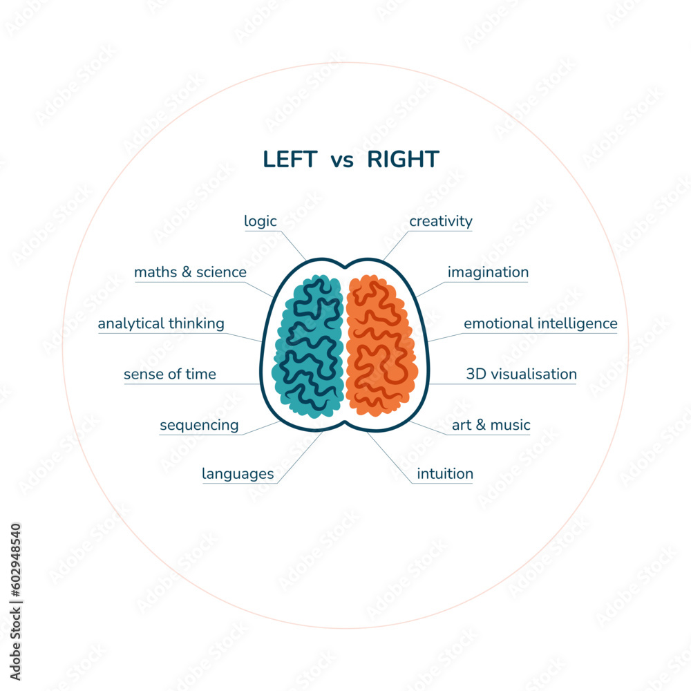 Stockvector Vector illustration of left vs right minded brain. Characteristics of right and left ...