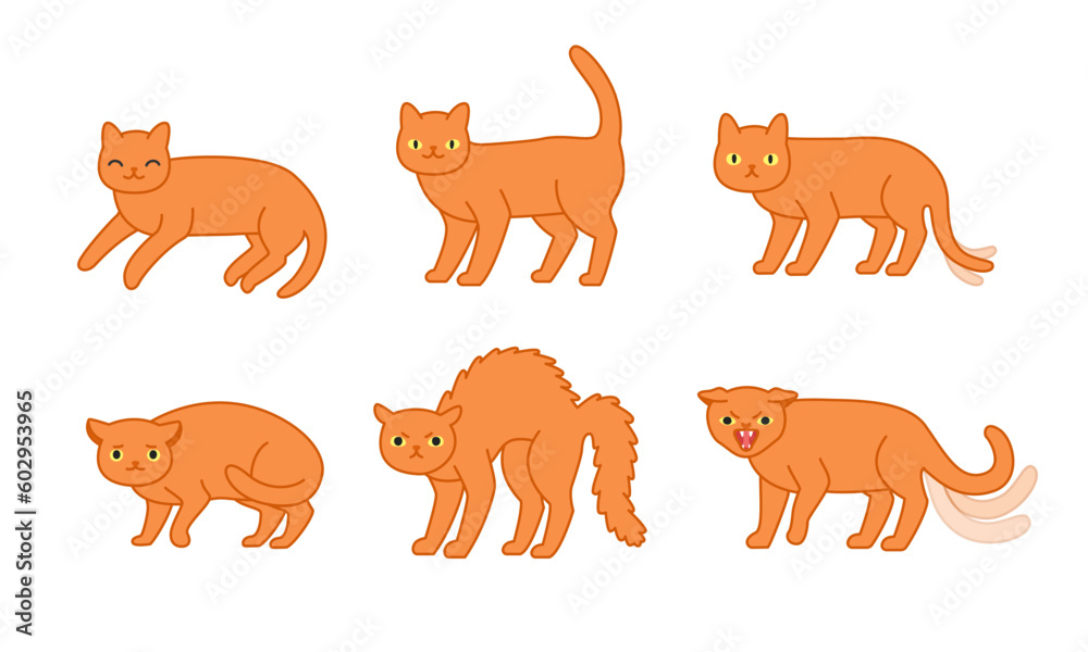 Cat body language behavior signals. Different emotions: frightened ...