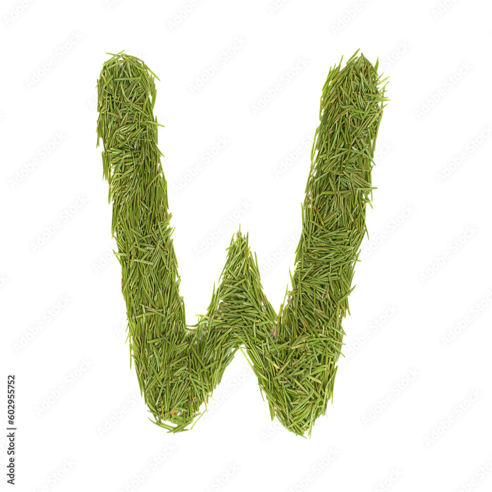 Letter W green font alphabet A-Z letter image in PNG isolated on ...