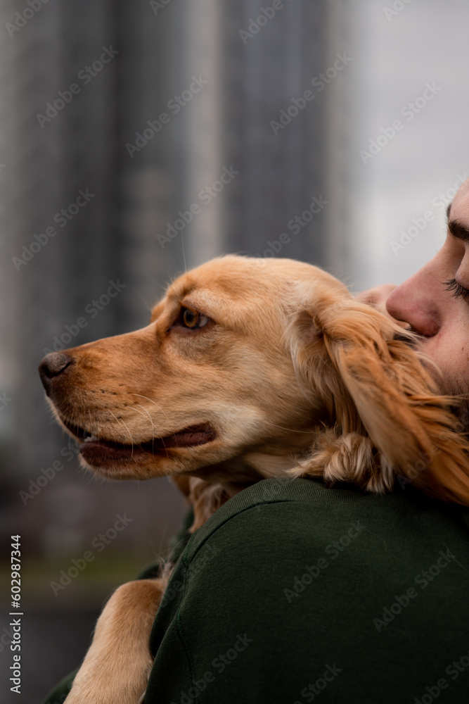 Cropped view of a man who holds a cocker spaniel in his arms. An ...
