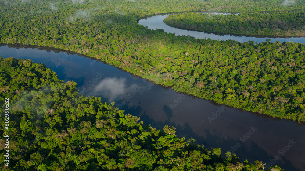 AMAZON RIVERS IN THE PERUVIAN JUNGLE, THEY CLEARLY SHOW THE MEANDERS ...