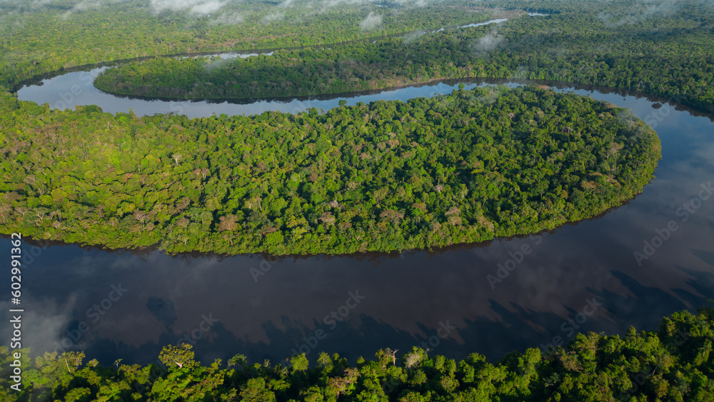 AMAZON RIVERS IN THE PERUVIAN JUNGLE, THEY CLEARLY SHOW THE MEANDERS ...