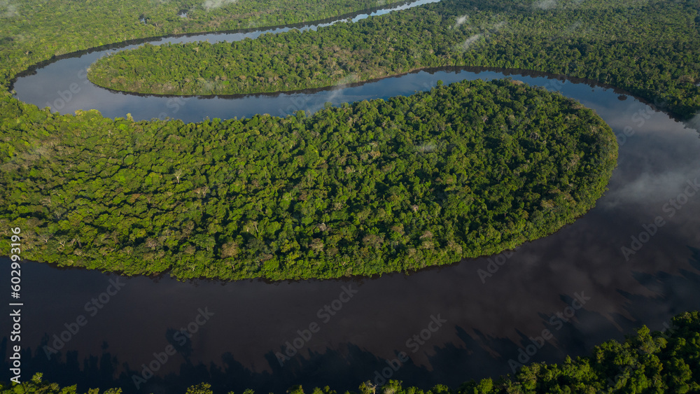 AMAZON RIVERS IN THE PERUVIAN JUNGLE, THEY CLEARLY SHOW THE MEANDERS ...