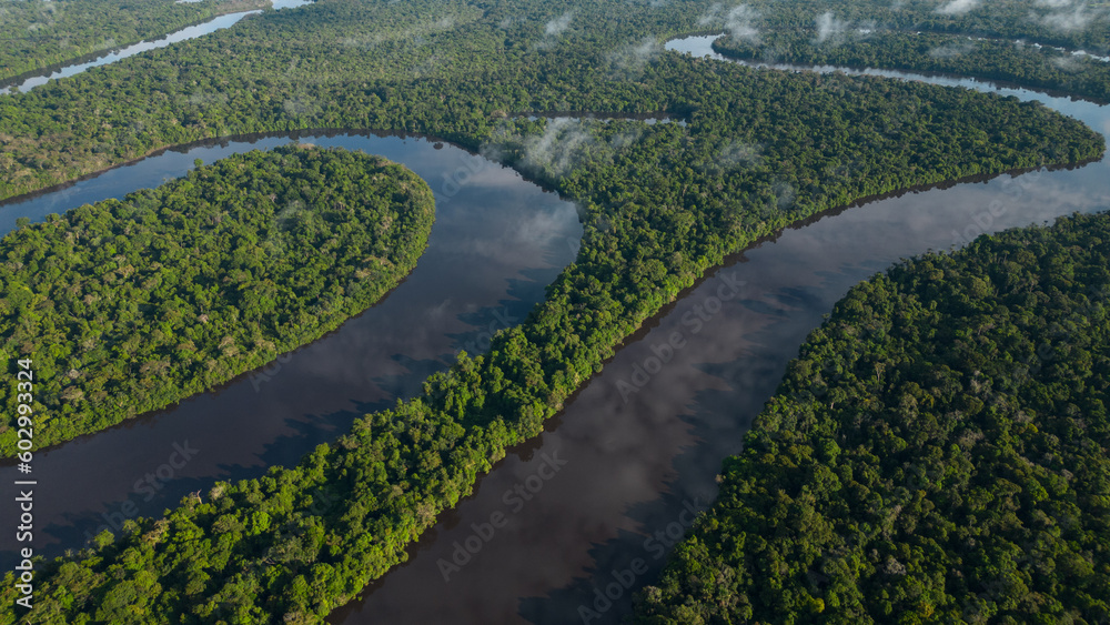 AMAZON RIVERS IN THE PERUVIAN JUNGLE, THEY CLEARLY SHOW THE MEANDERS ...