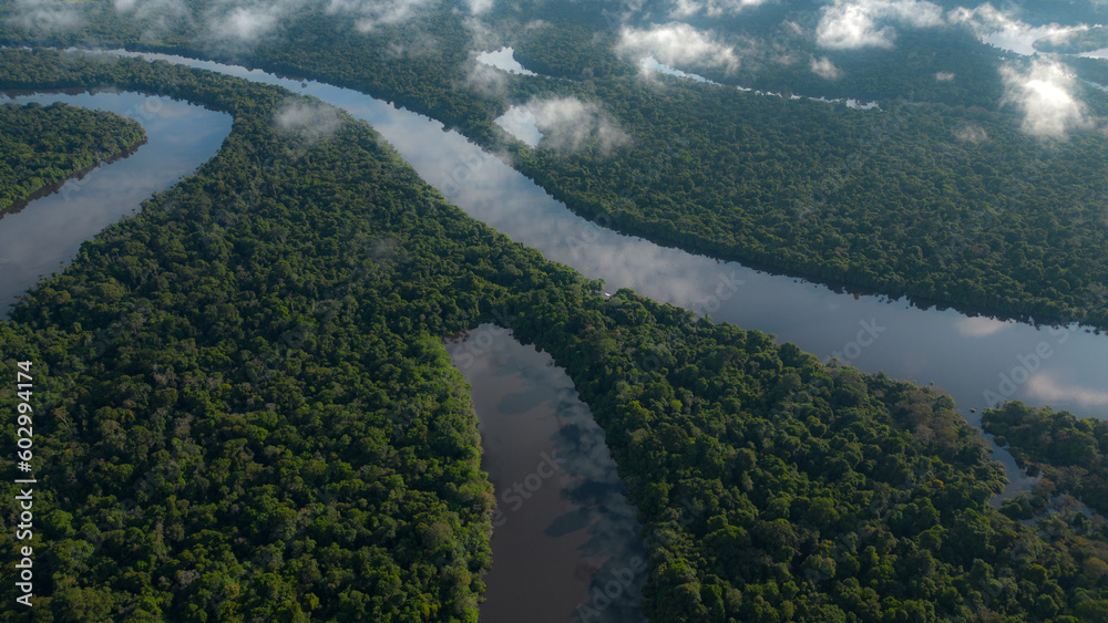 AMAZON RIVERS IN THE PERUVIAN JUNGLE, THEY CLEARLY SHOW THE MEANDERS ...