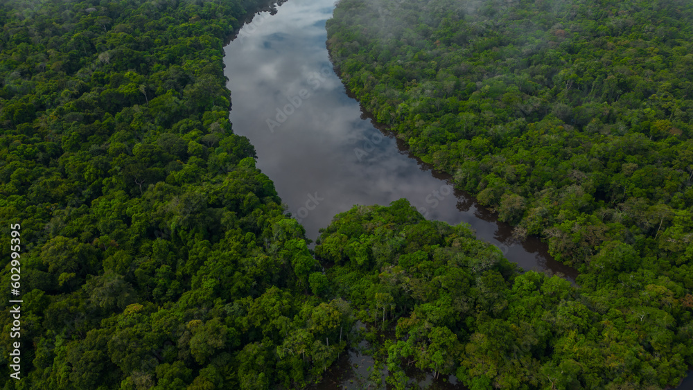 AMAZON RIVERS IN THE PERUVIAN JUNGLE, THEY CLEARLY SHOW THE MEANDERS ...