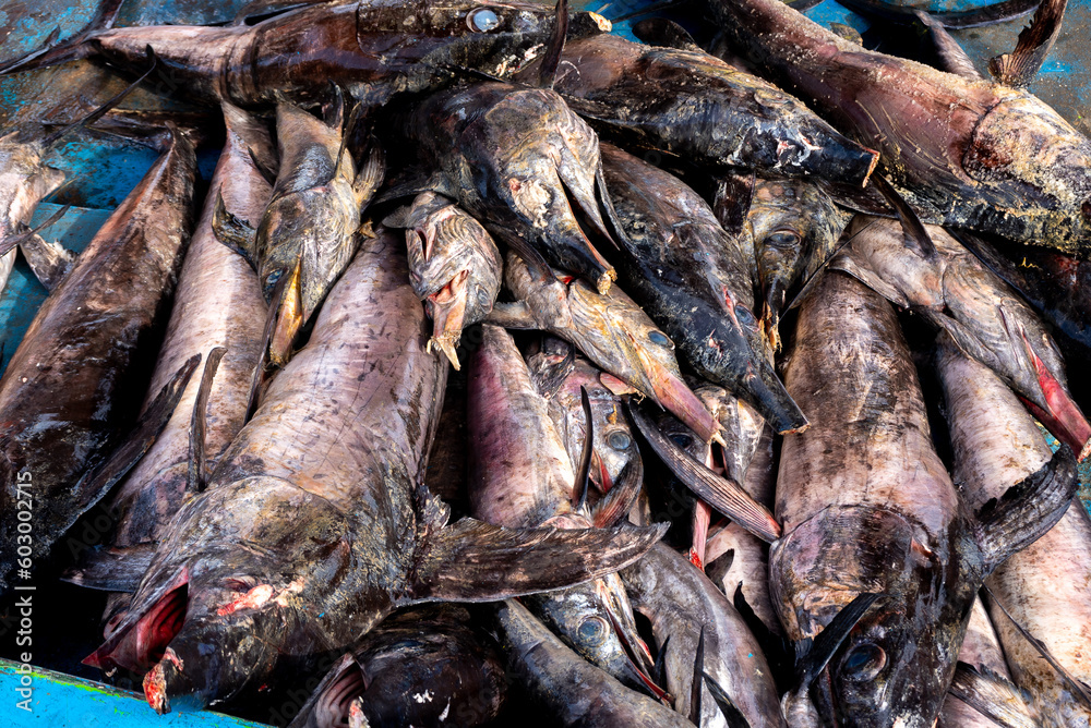 Junglighat, located in Port Blair, the main city of the Andaman Islands ...