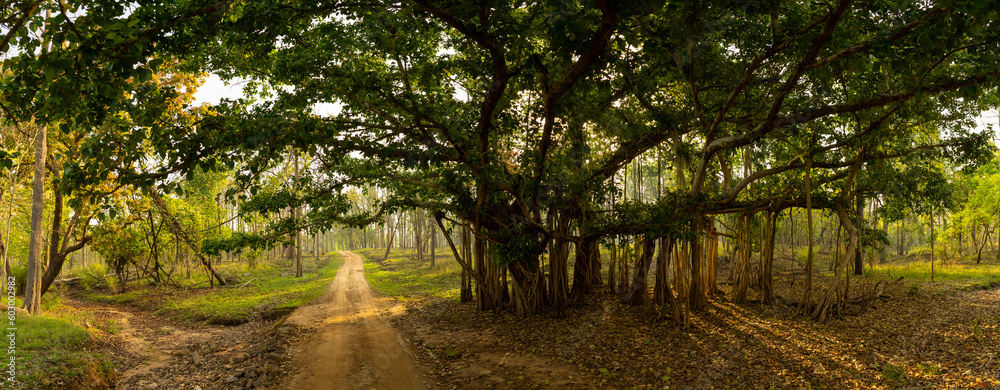 Photo & Art Print Named after the pristine River Pence which flows ...