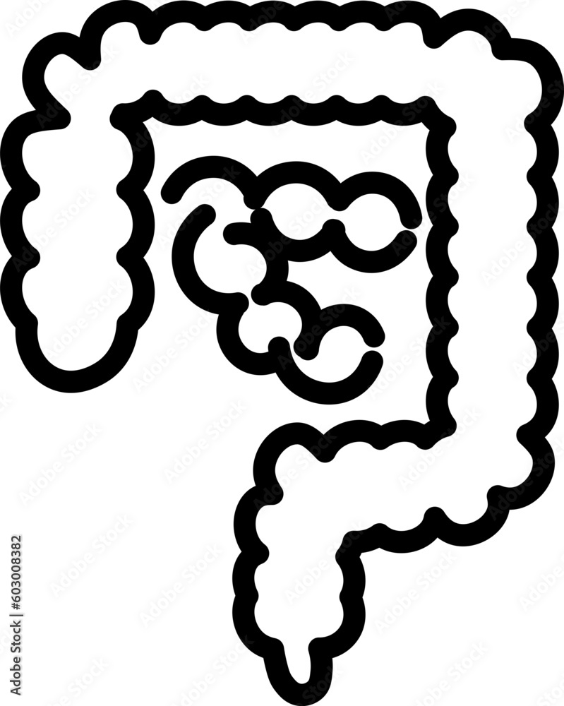 intestine line icon. Symbol of body organs. In a transparent background ...
