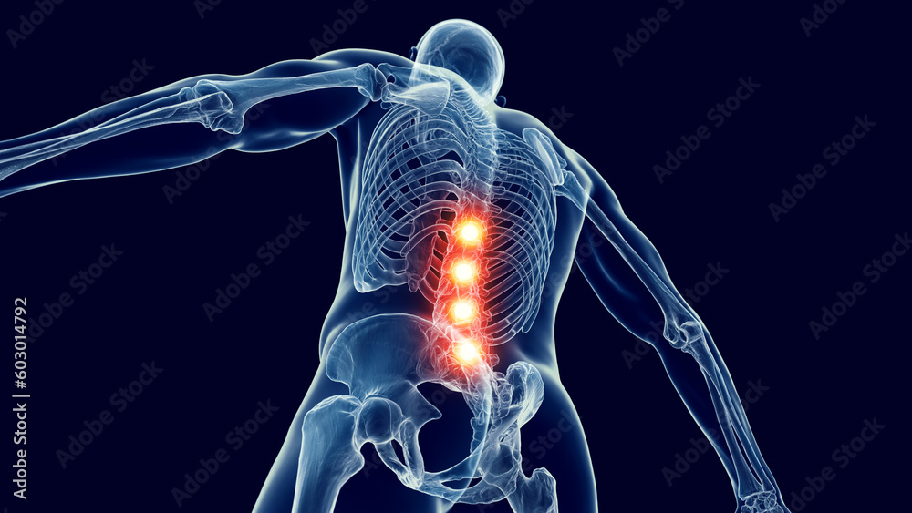 3d medical illustration of a man's skeletal system. lower back pain ...