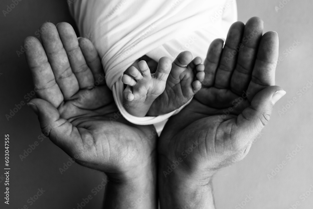 Black and white shade beautiful shape hands of mother, hold tiny ...