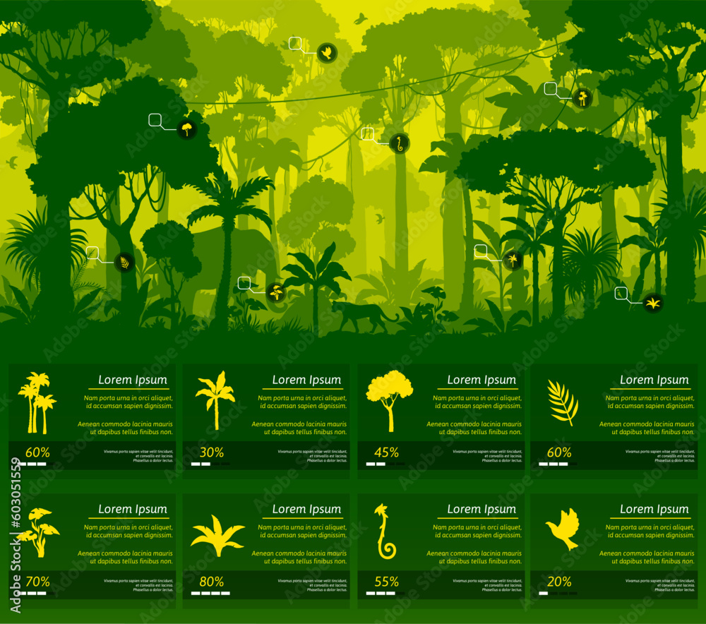 Jungle forest silhouette infographics on rainforest trees and plants ...