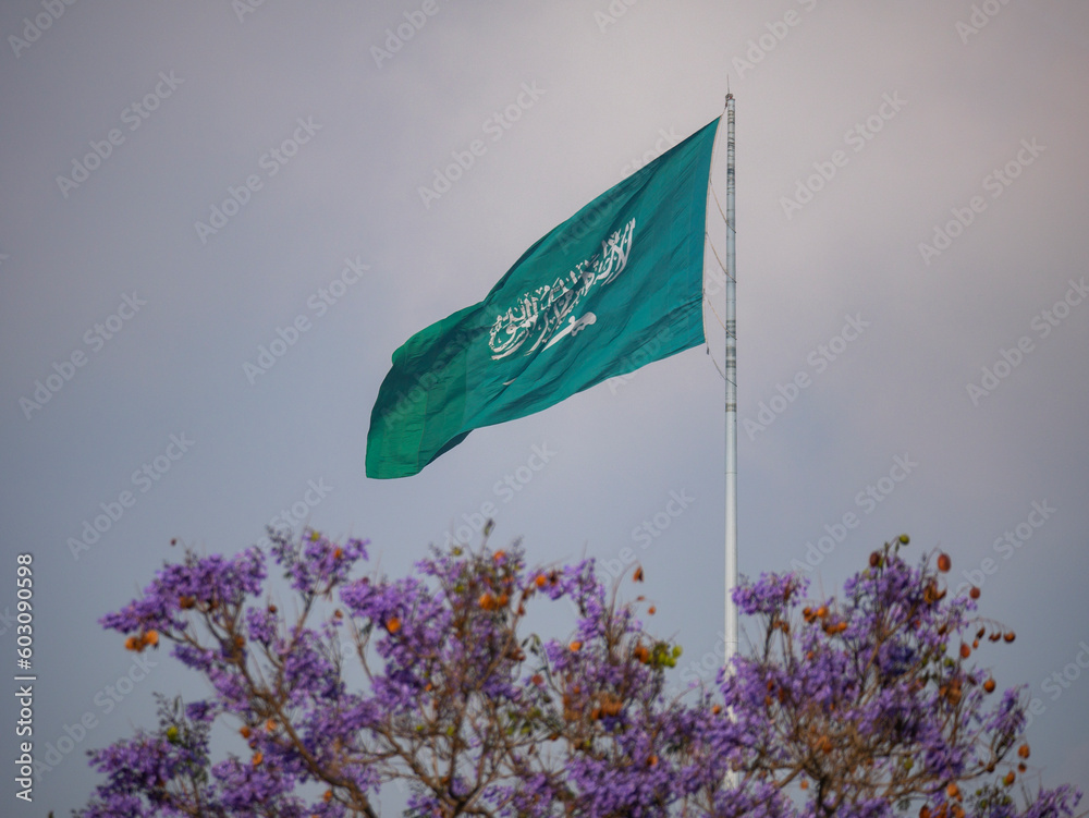 Saudi flag in the city of Abha with flowering purple jacaranda trees in ...