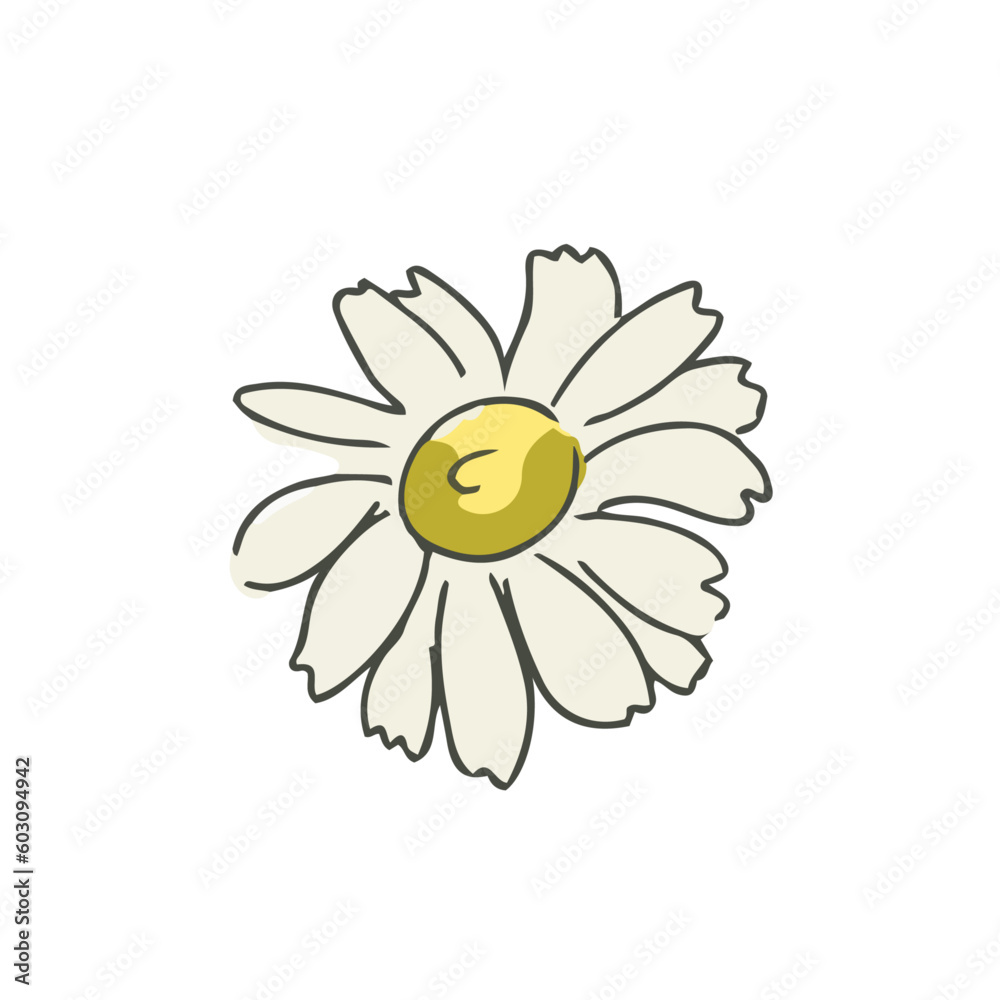 Flor blanca ilustración digital orgánica png y vector Stock Vector ...