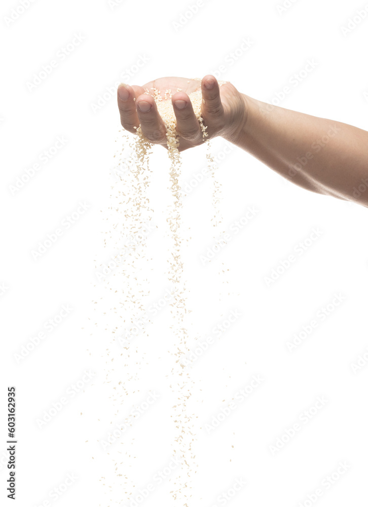 White Sesame pouring down from hand fingers, white Sesame grain wave ...