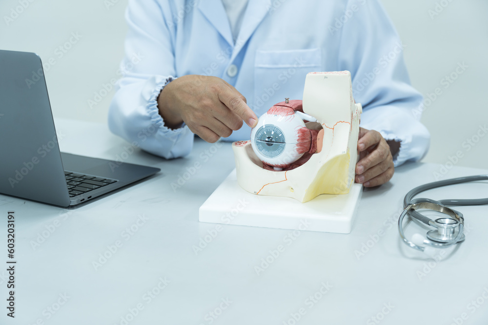 Ophthalmologist explain patient with eye anatomy model on white ...