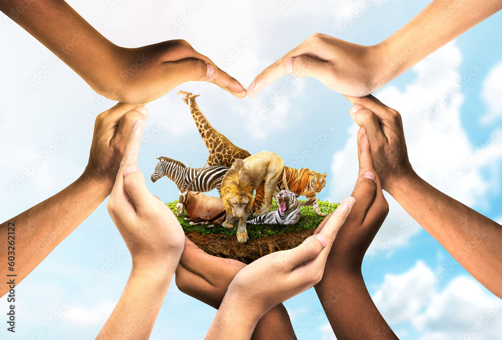 Wildlife Conservation Day. wildlife protection, multiracial human come ...