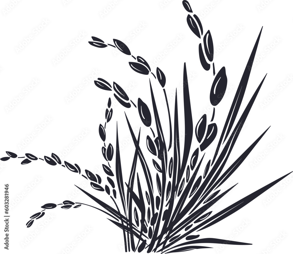 Rice plant, grains. Vector landscape silhouette isolated on white ...