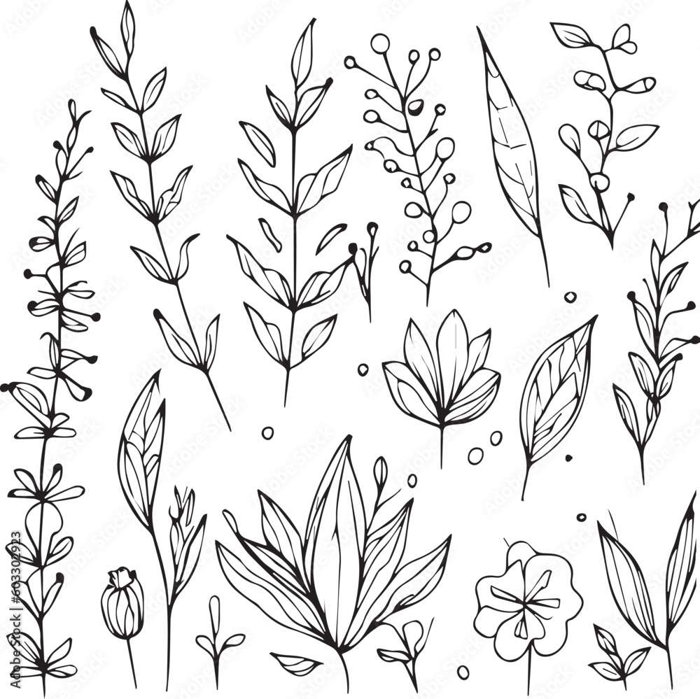 Beautiful monochrome black and white botanical elements are isolated on ...