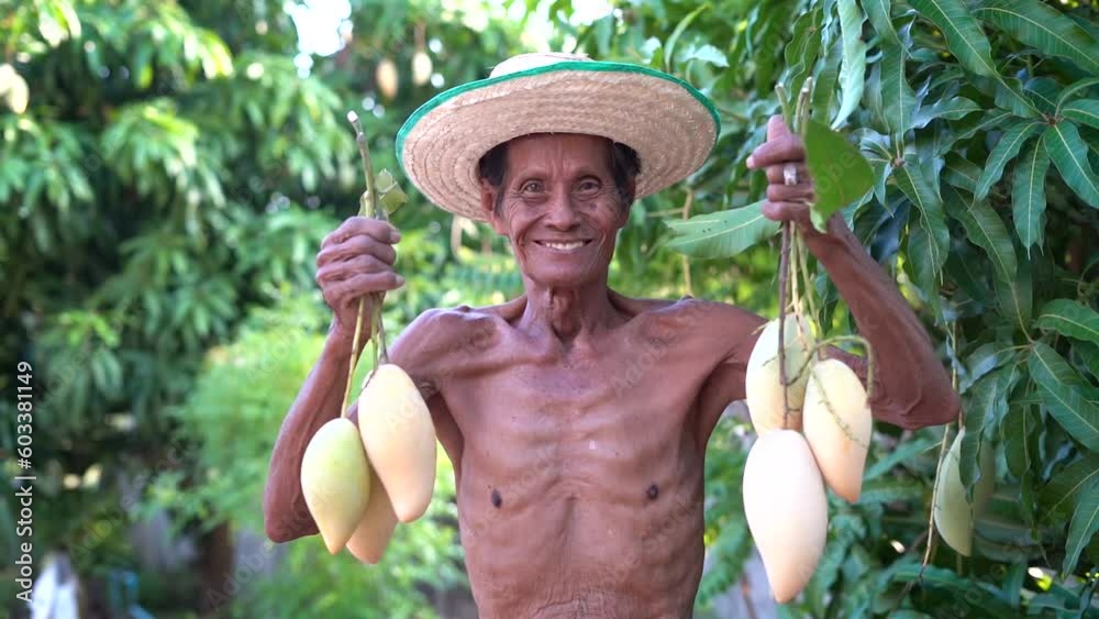 Vidéo Stock (Slow motion) An Asian man who is poor farmer showing Mango ...