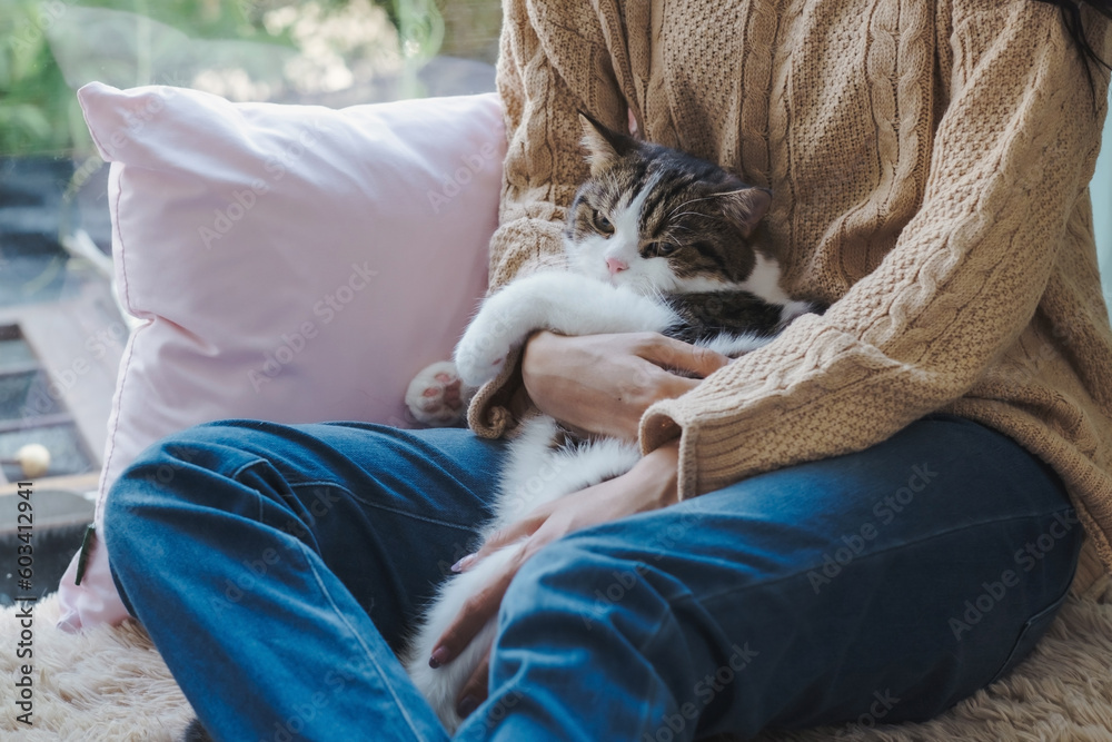 Crop cute scottish cat in woman's lap looking at camera, cat's hand ...