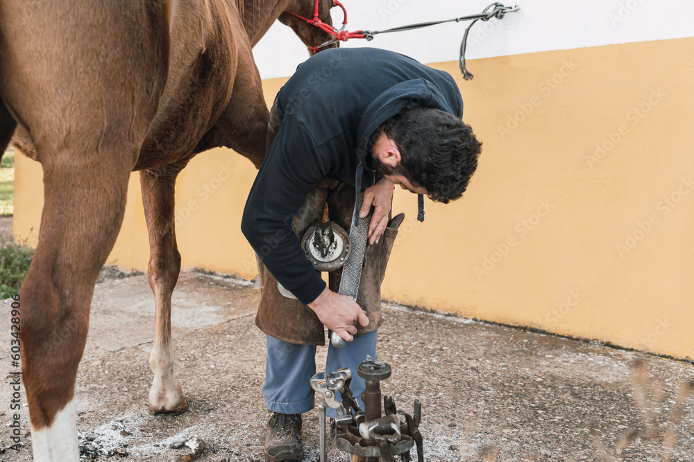 Farrier trimming hoof of horse Stock Photo | Adobe Stock
