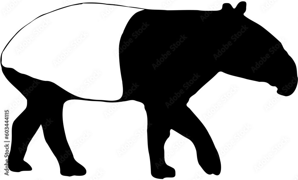 silhouette of a malayan tapir on transparent background svg Stock ...