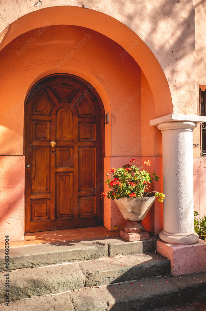 Elegant entryway: a neoclassical wood door, arches and pillars, in ...