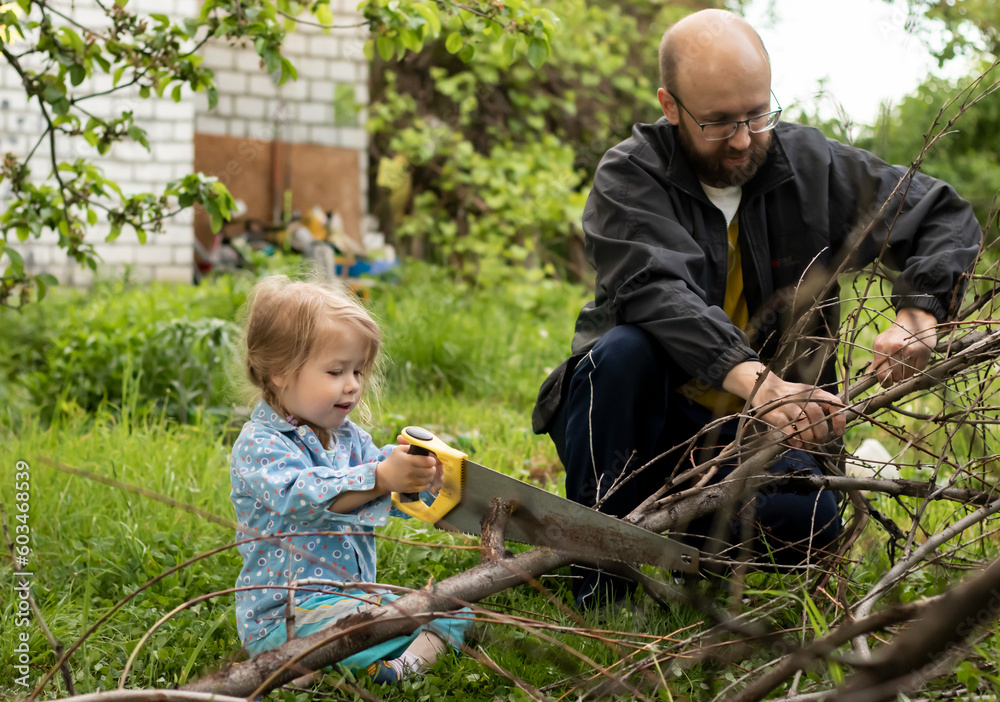 Father and child work together in the garden, cutting down dry tree ...