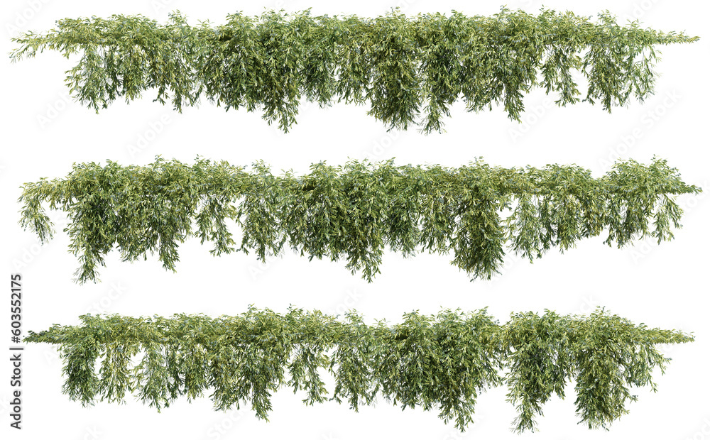 ภาพประกอบสต็อก Creeper plant, climber plant 3D rendering with ...