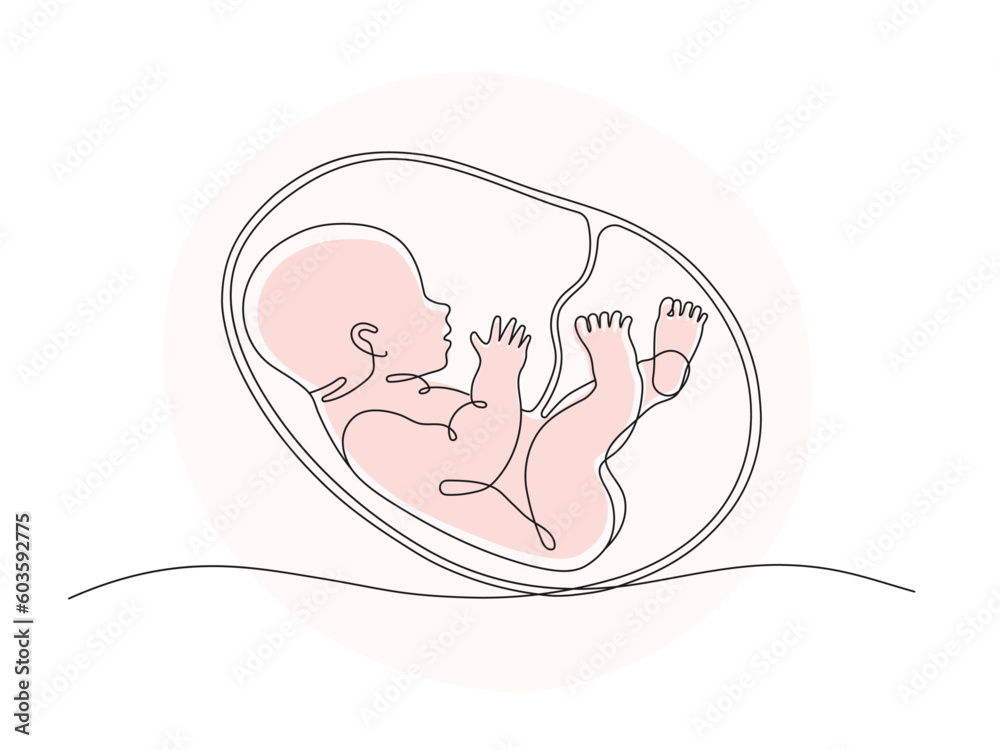Baby embryo in womb one line drawing. Cute unborn fetus baby on mother ...