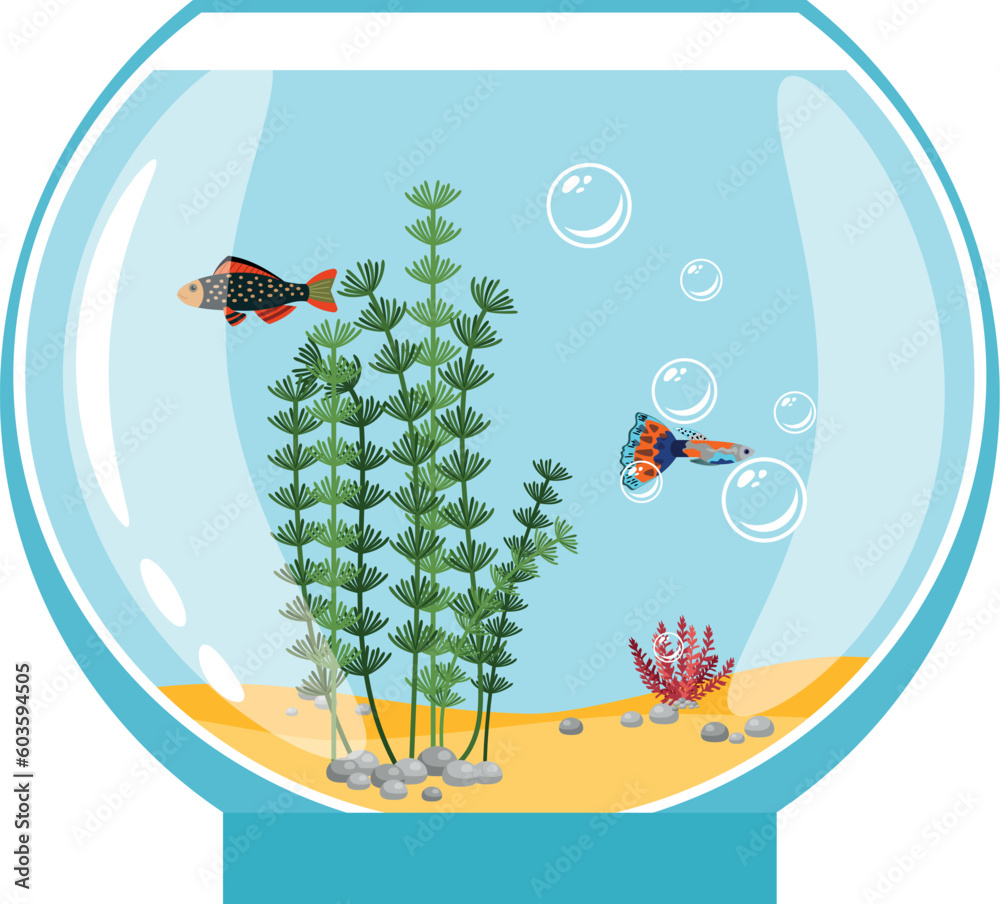 Cartoon fishes in aquarium. saltwater or freshwater fish tank ...