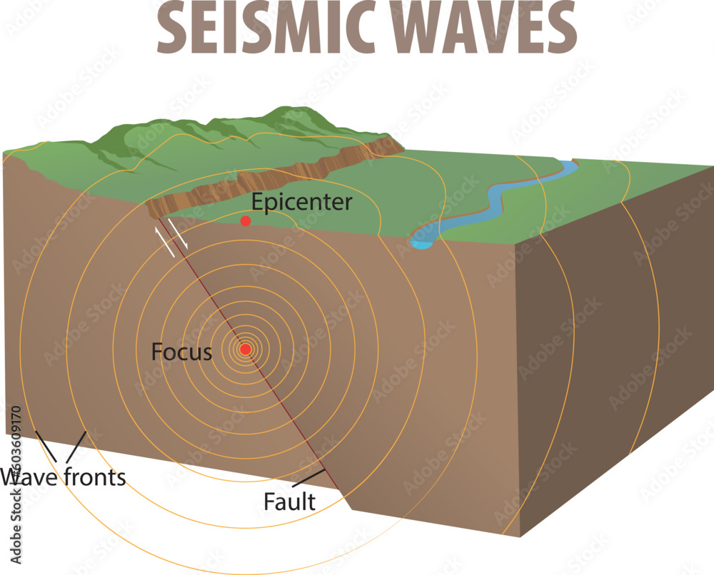 illustration of seismic waves diagram Stock Vector | Adobe Stock