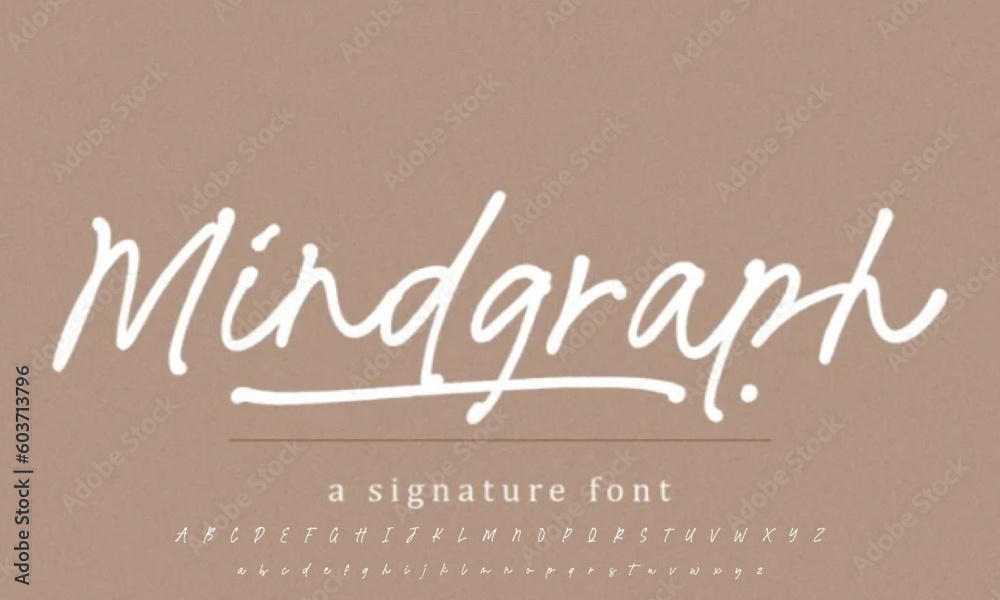 Hand drawn vector alphabet. Script font. Isolated letters written with ...