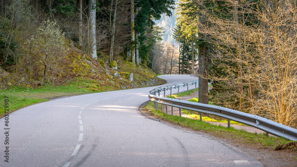 Route sinueuse dans la forêt vosgienne au bord du lac de Xonrupt ...