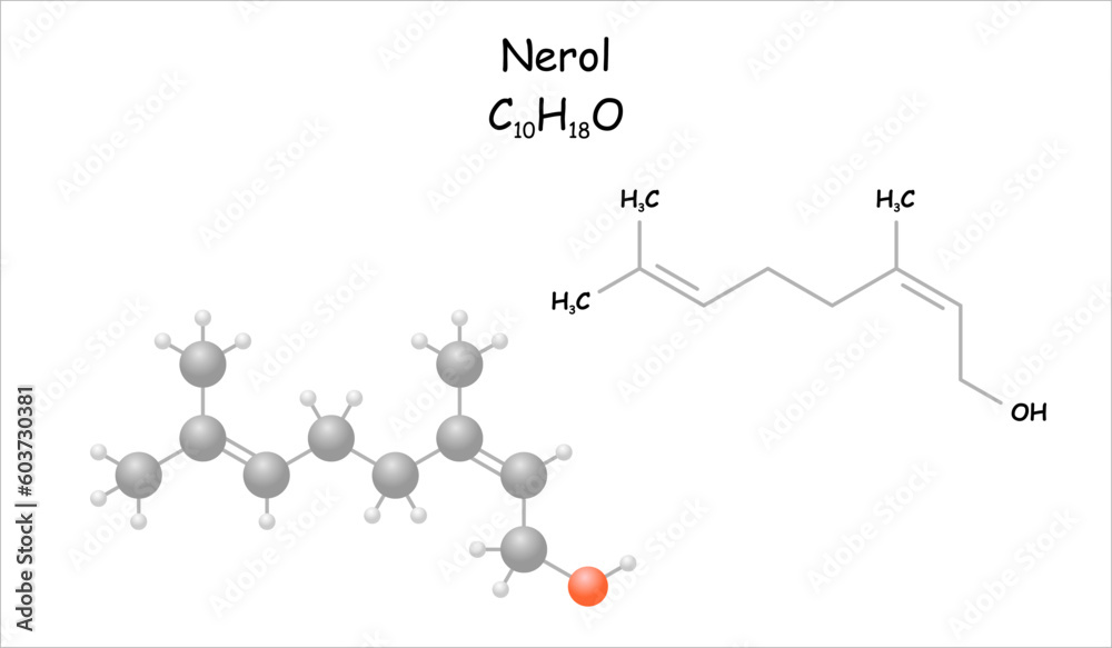 Stylized molecule model/structural formula of nerol. Stock Vector ...