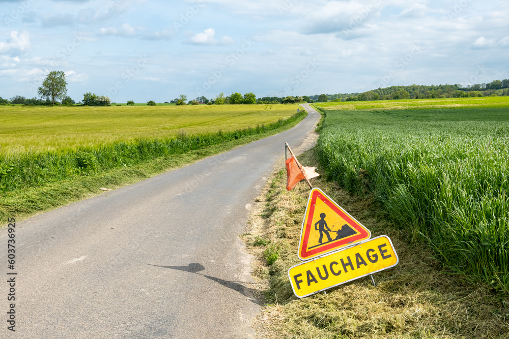 Fauchage d'une route départementale sur une bande de 1,20 mètres ...