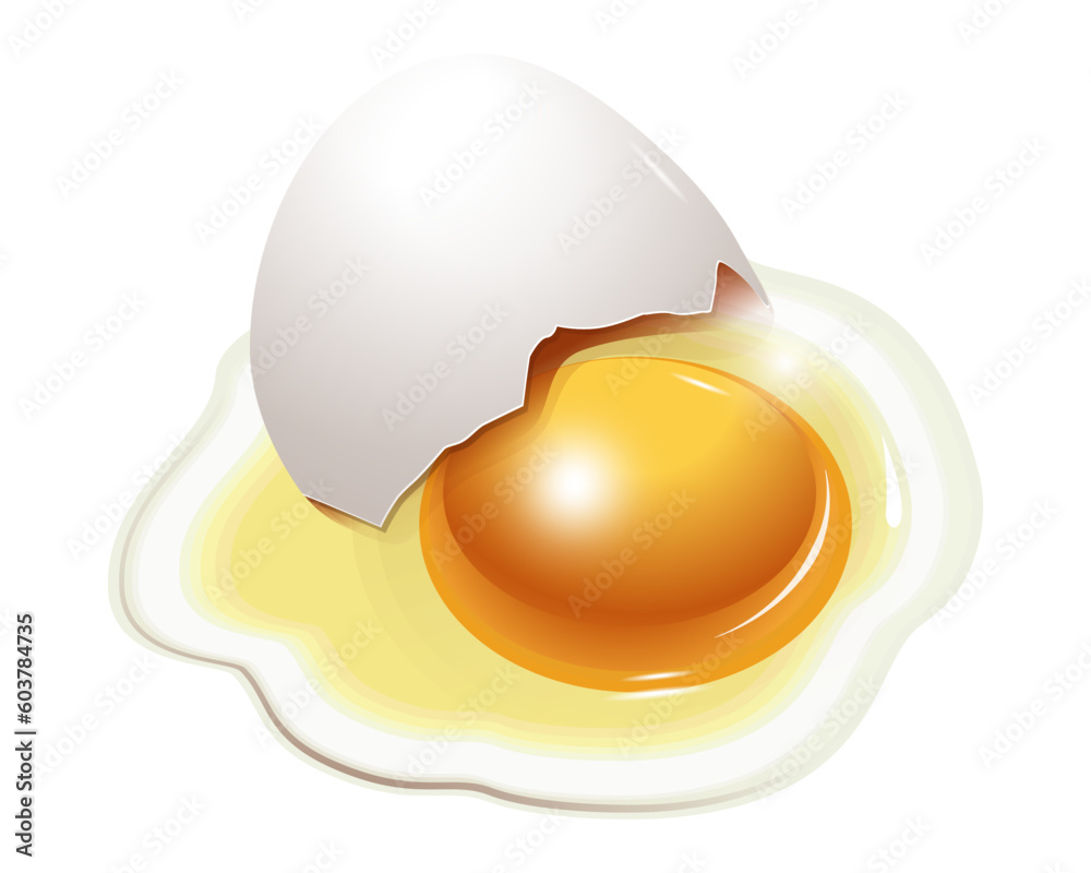 Broken raw egg with shell. Vector drawing. Yolk of a chicken egg. White ...