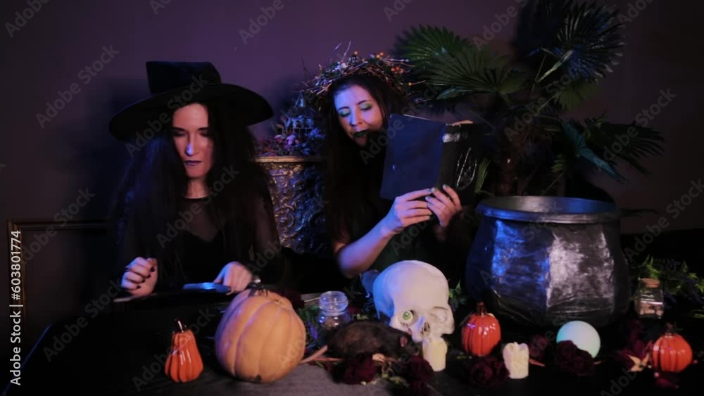 Two witches pose sitting at a table with a cauldron, skull, pumpkins ...