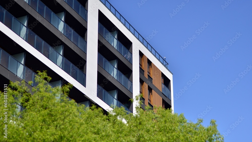 Eco architecture. Green tree and new apartment building. The harmony of ...