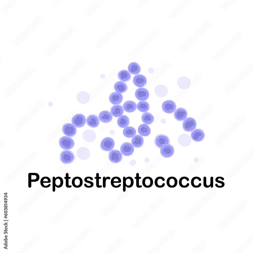 Peptostreptococcus