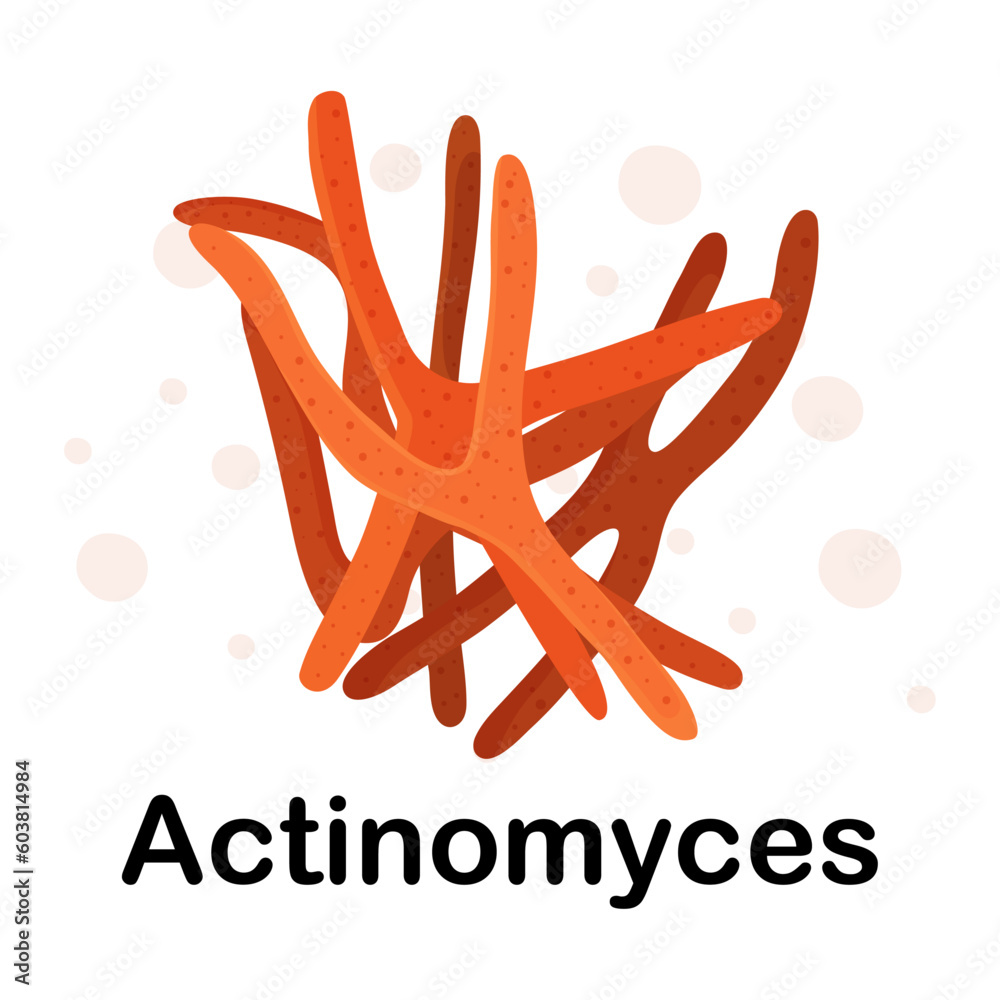 Vetor do Stock: Bacteria in the body. Microorganisms. Actinomyces ...