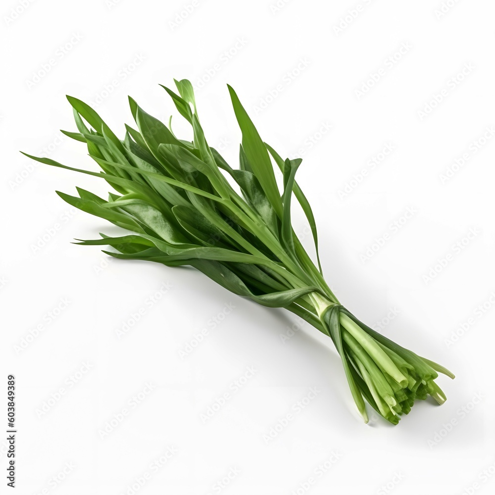 Fresh,realistic single,Water spinach Kangkong ,side view,white ...