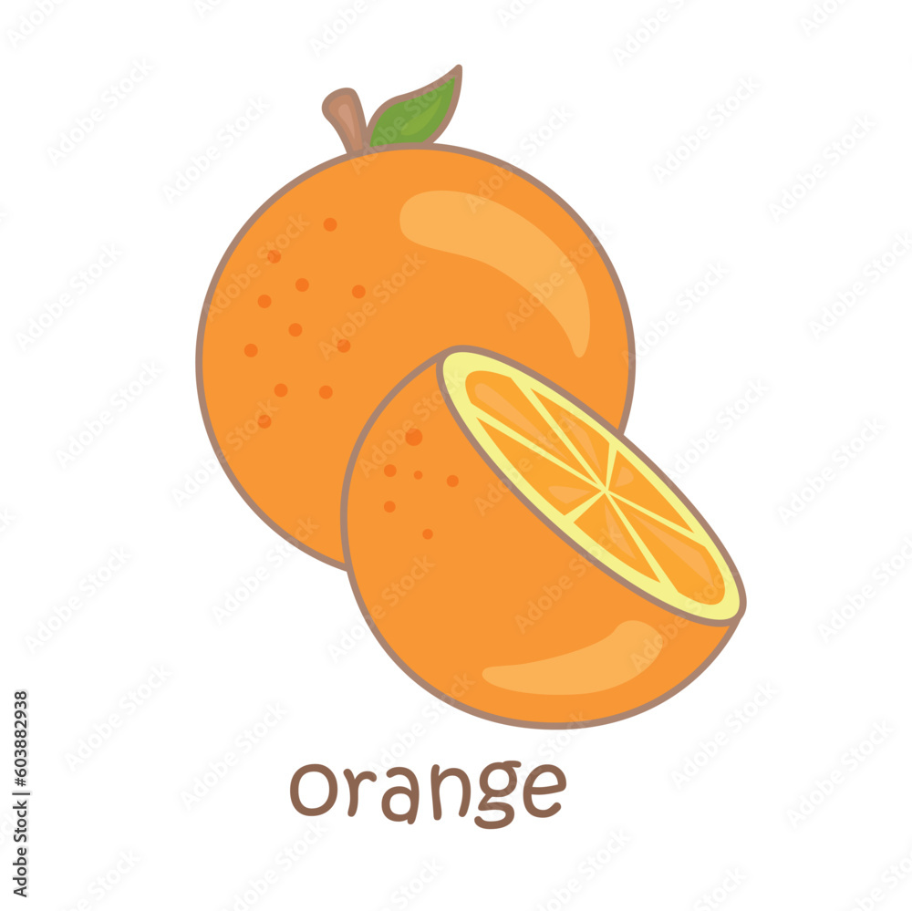 Alphabet O For Orange Vocabulary School Illustration Vector Clipart ...