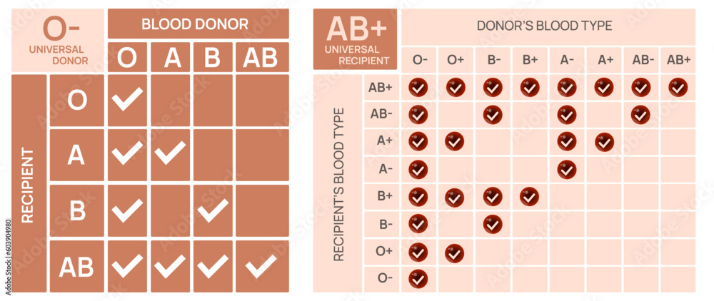 Red Blood cell group type. Antigens and antibodies compatibility. Can ...