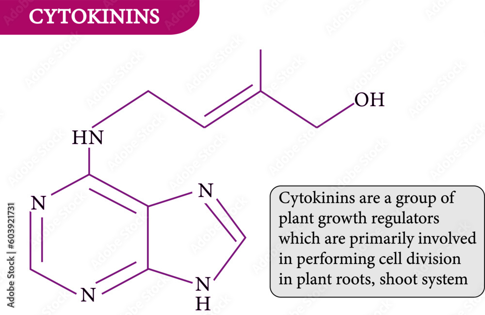 vector illustration of cytokinin Structure . Stock Vector | Adobe Stock