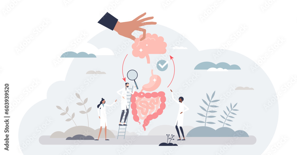 Gut brain axis as emotional feeling and bowel connection tiny person ...