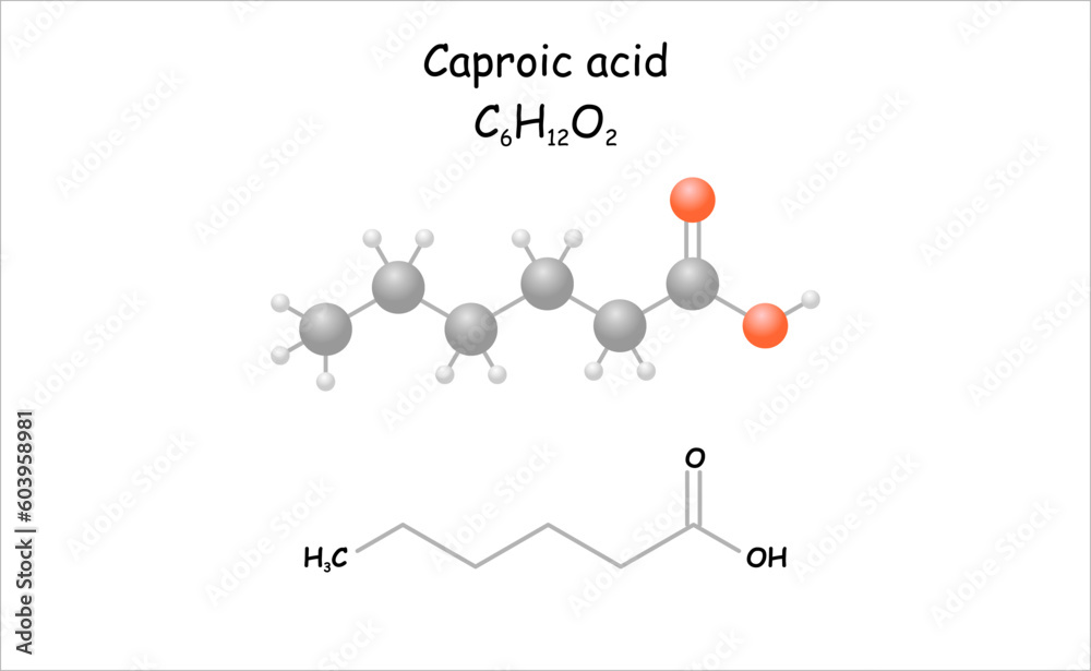 Photo Stylized molecule model/structural formula of caproic acid, Amalia Gruber | Posters ...