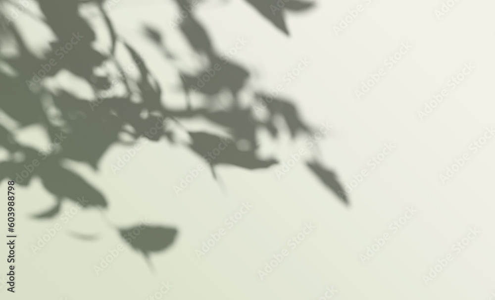 3d rendering, shadow overlay effect, greenery mockup. Stock ...