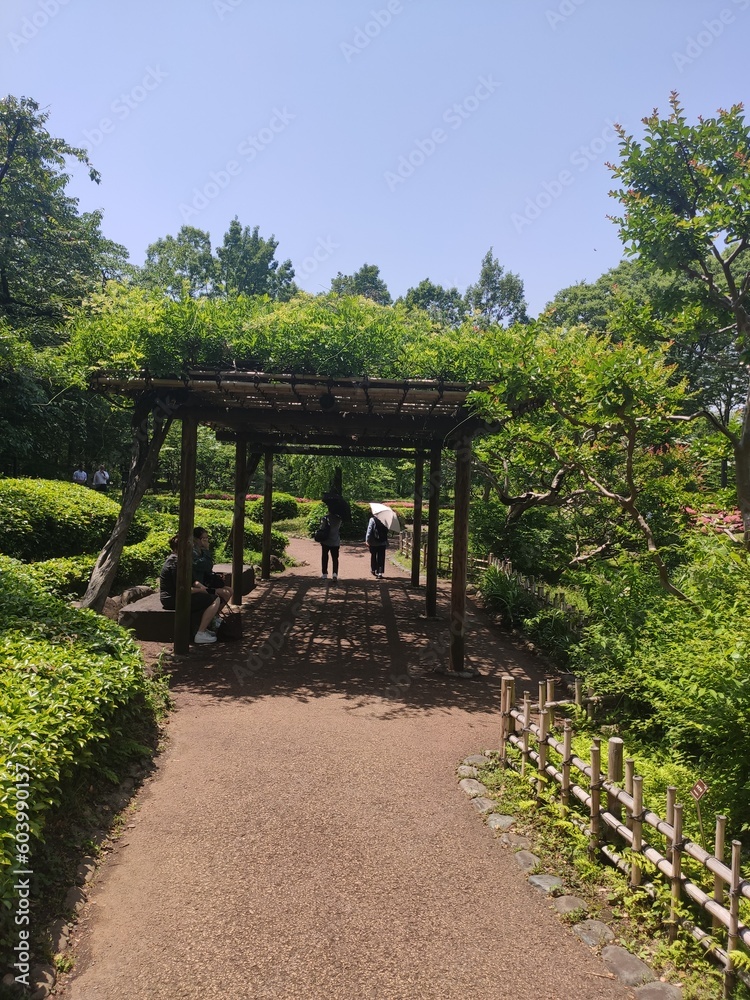Passage botanique, à travers un grand jardin royale et de verdure ...